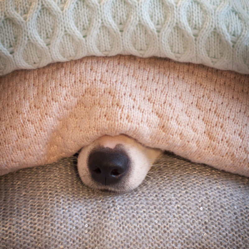 Hiding PTSD at work - Healing Honestly